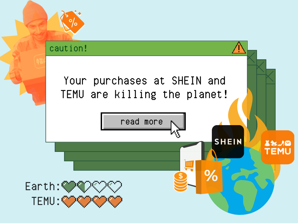 Your Purchases at SHEIN and TEMU are Killing the Planet – Maya Harney
